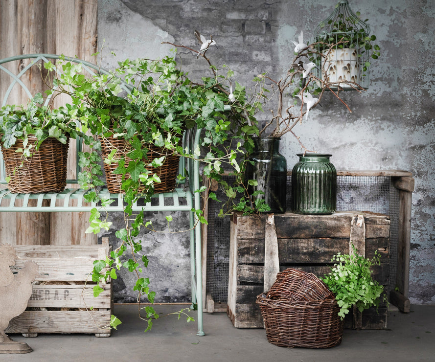 Vases – Caboose Homeware